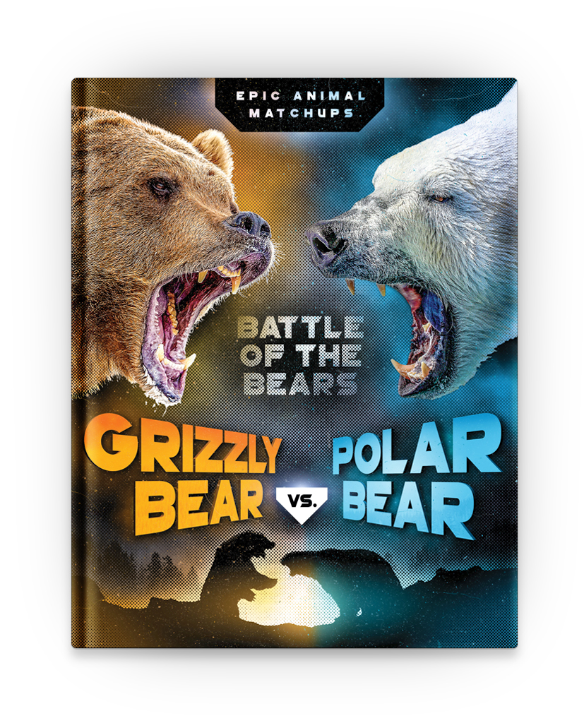 Grizzly Vs Polar Bear Animal Battle Jaguar Vs Leopard